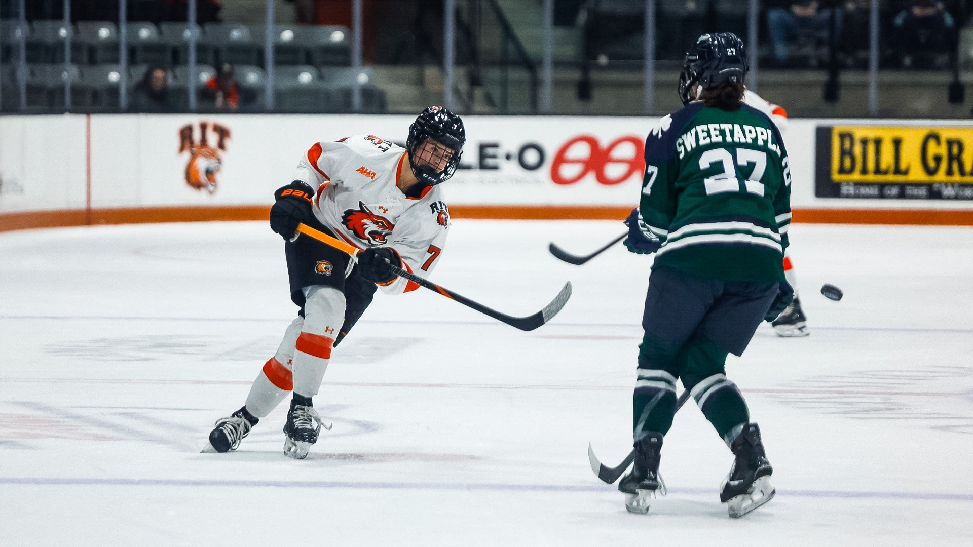 Women's and Men's Hockey schedule updates announced - Rochester ...