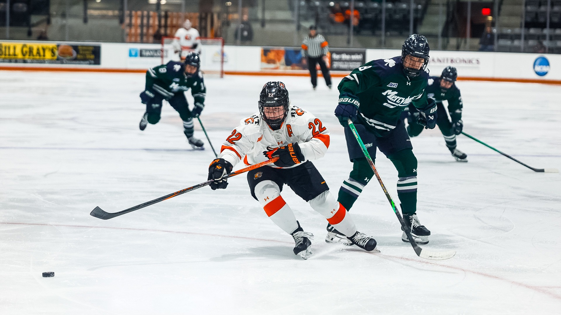 Women's and Men's Hockey schedule updates announced - Rochester ...