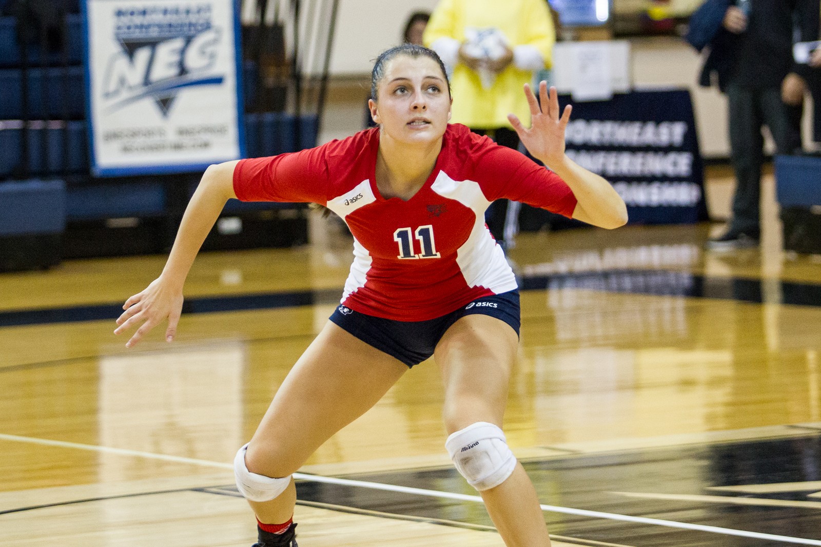 Erica Robb - Volleyball - Robert Morris University Athletics