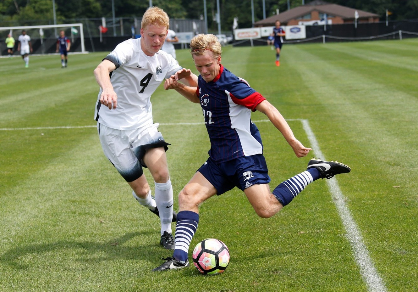 Bayley Winkel - Men's Soccer - Robert Morris University Athletics