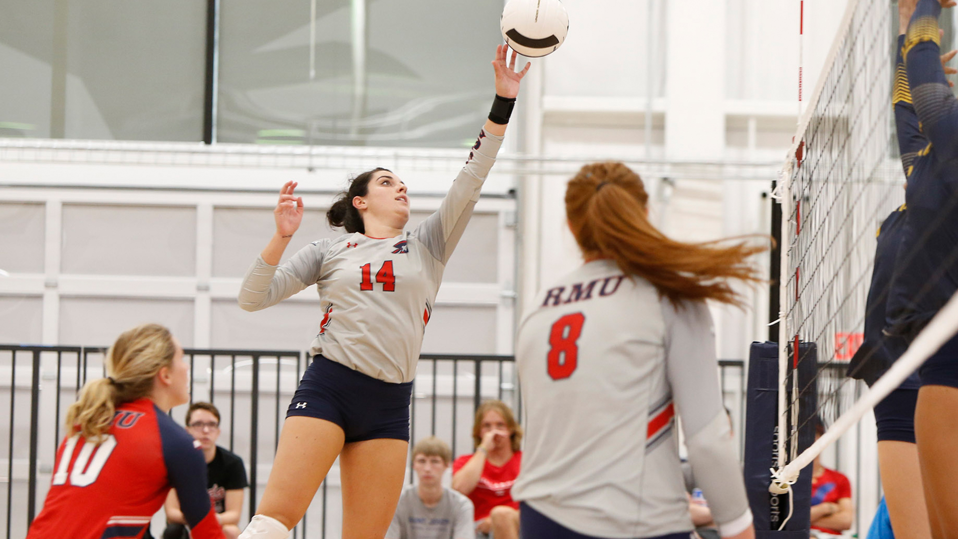 Taylor Lord - Volleyball - Robert Morris University Athletics