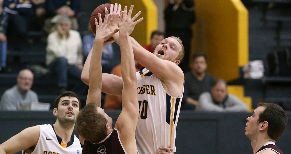 Jared Seltzer - Men's Basketball - University of Rochester Athletics