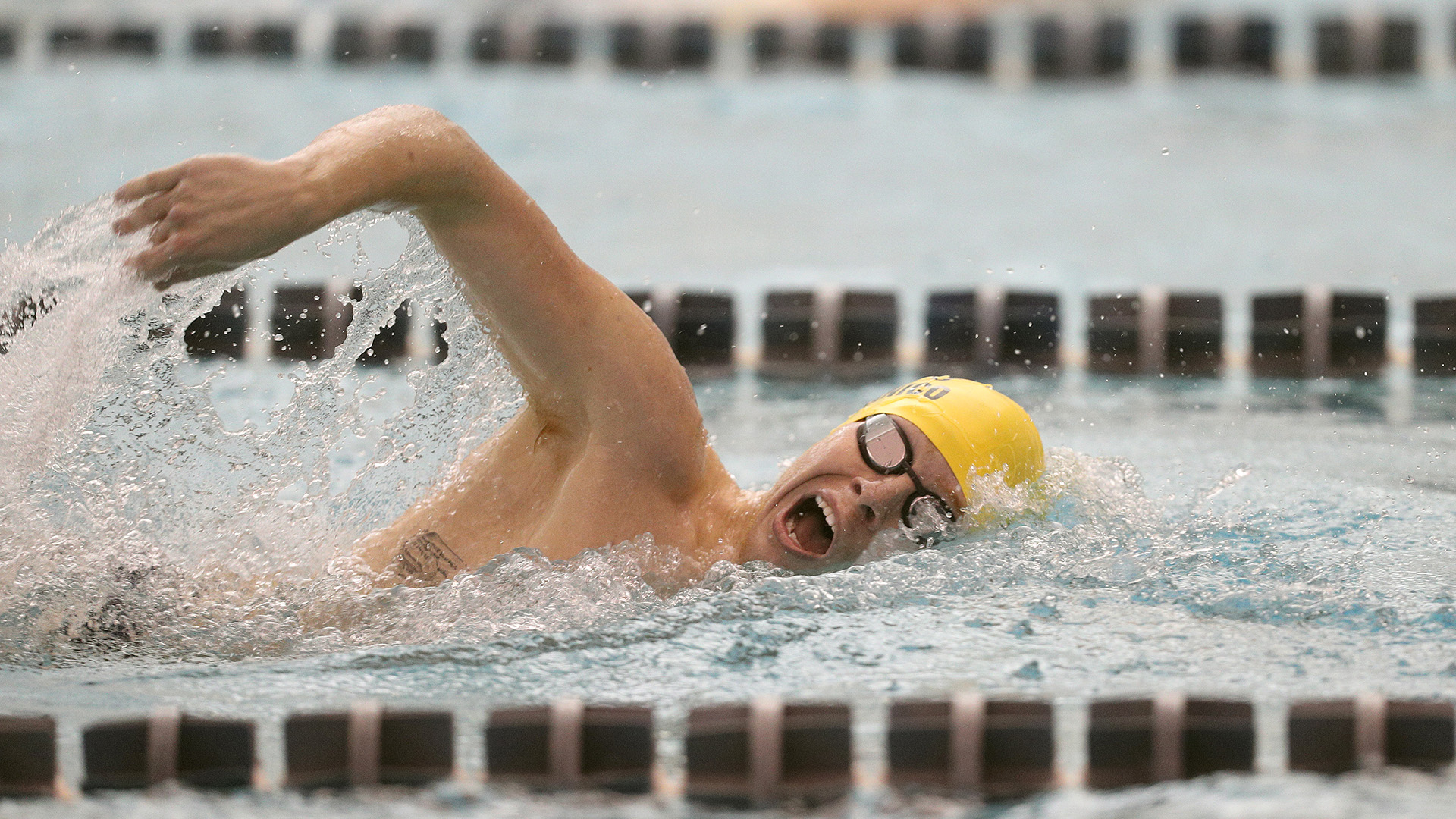 Edward Domanico - Men's Swimming and Diving - University of Rochester ...