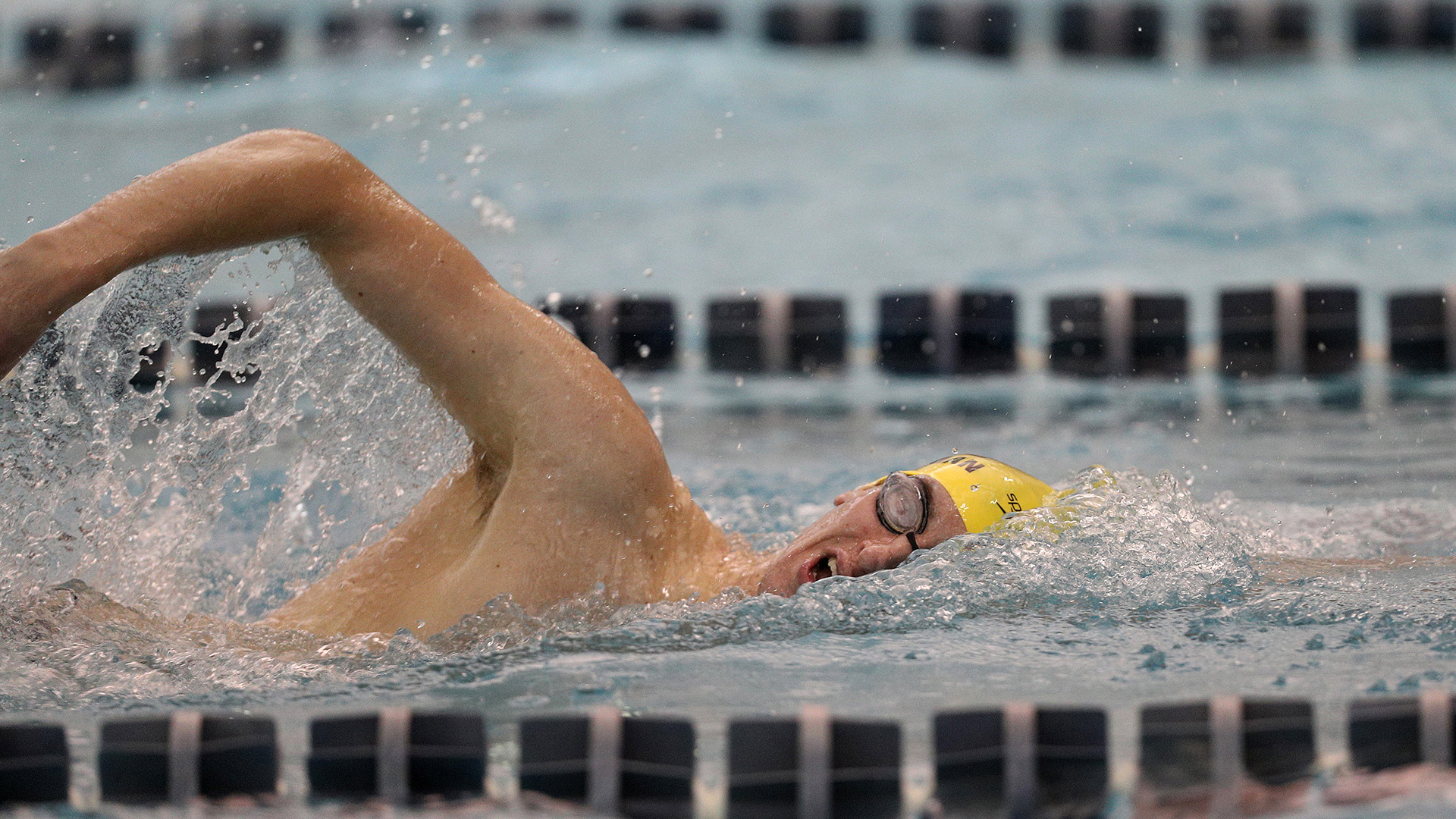 Eric Weidman - Men's Swimming and Diving - University of Rochester ...