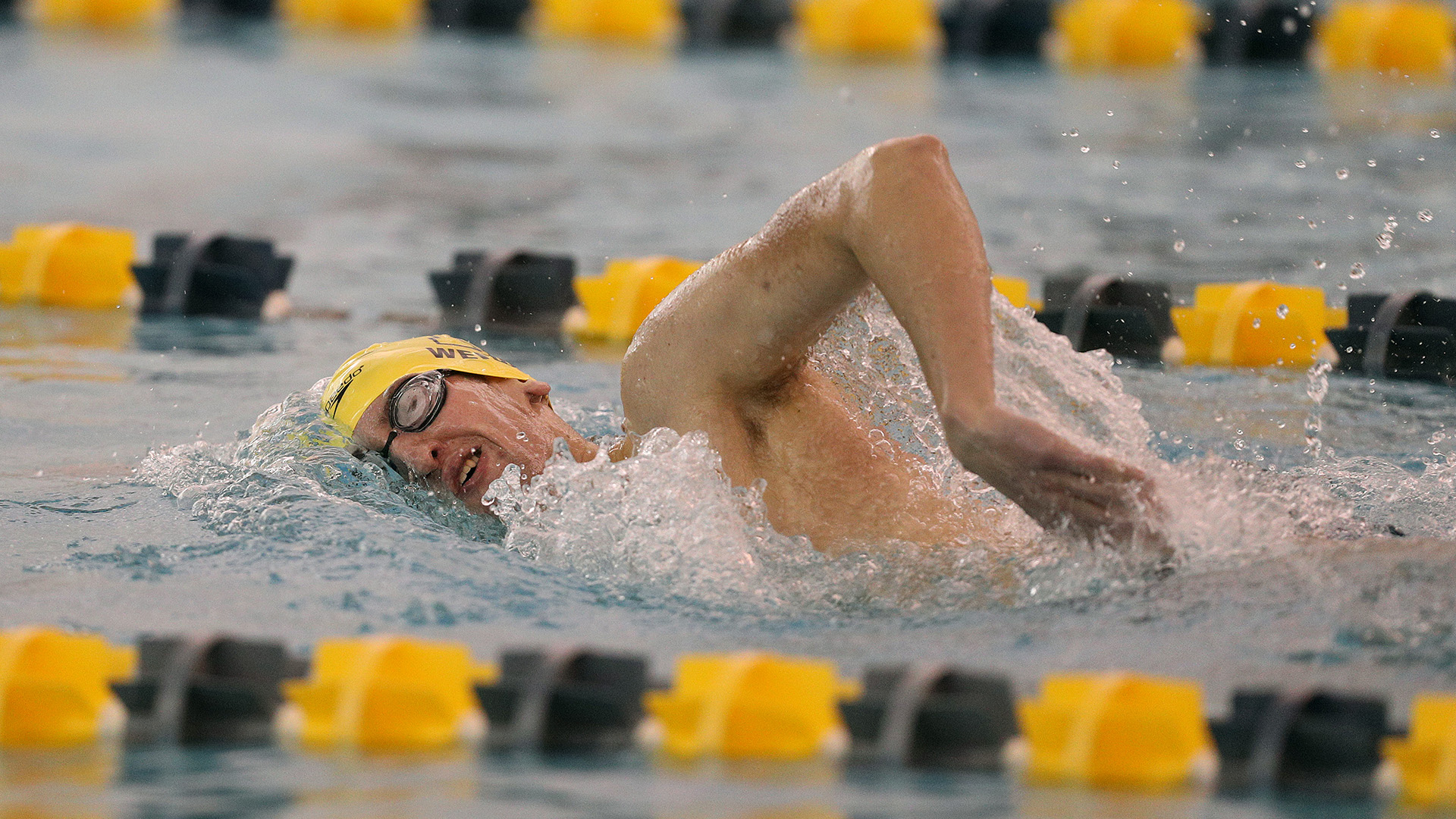 Eric Weidman - Men's Swimming and Diving - University of Rochester ...