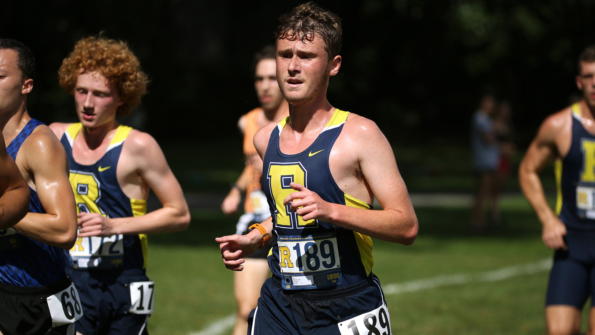 Evan Pollack - Men's Cross Country - University of Rochester Athletics