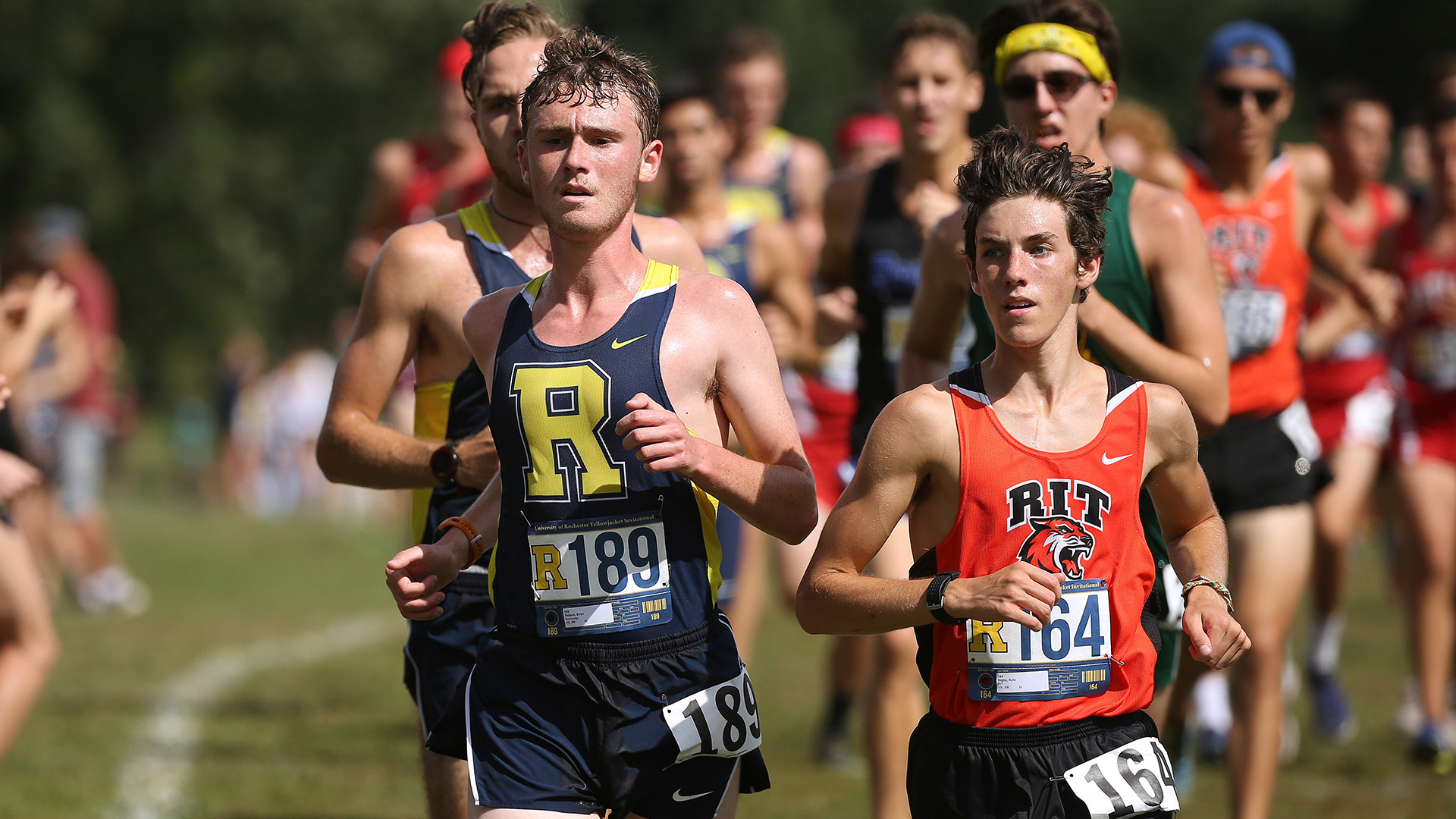 Evan Pollack - Men's Cross Country - University of Rochester Athletics