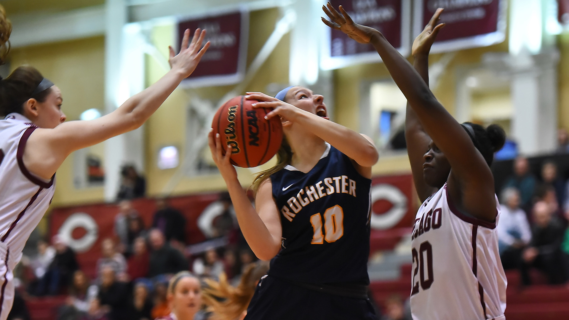 Jamie Boeheim - Women's Basketball - University of Rochester Athletics