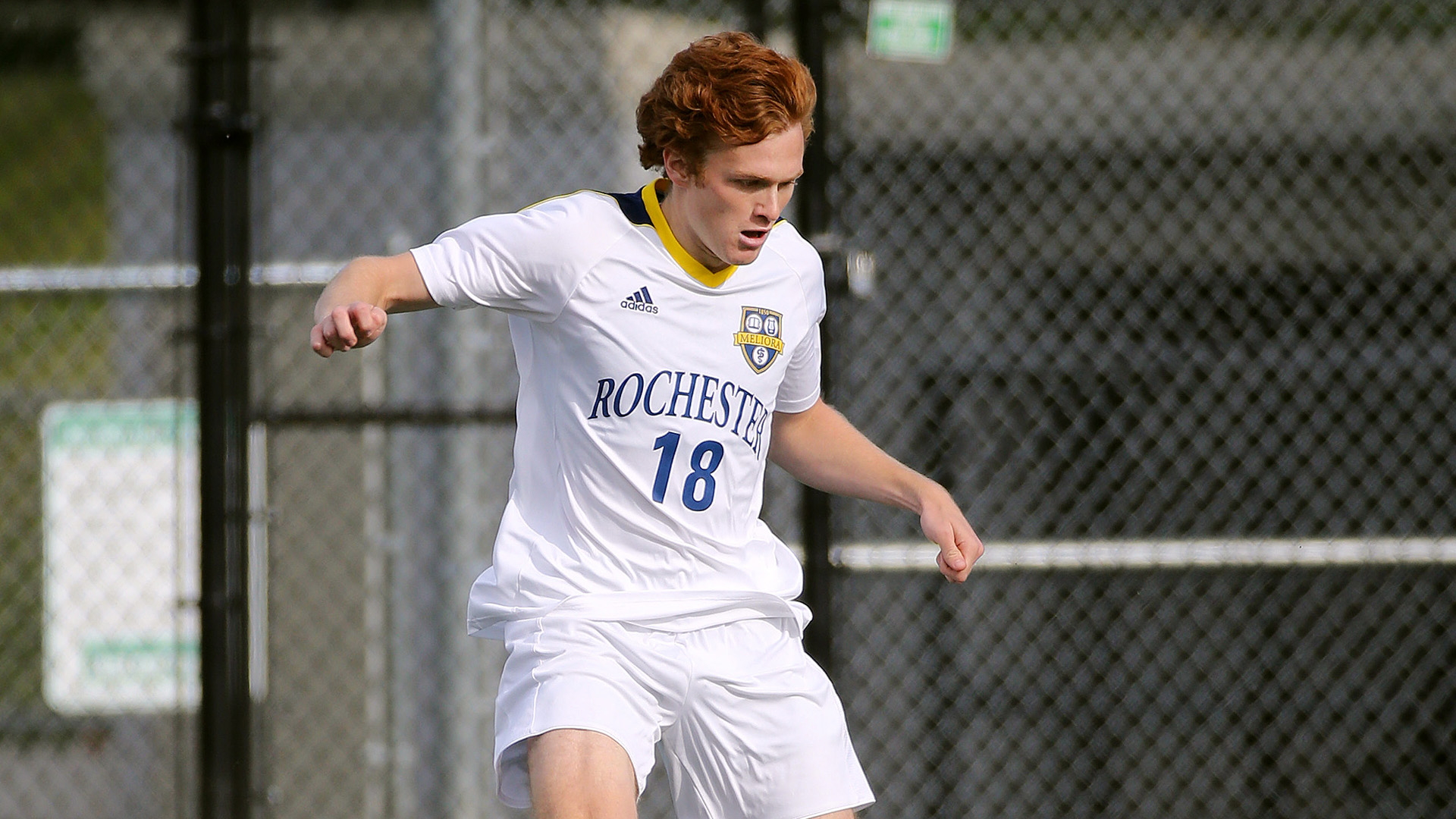 Tommy Nelson - Men's Soccer - University of Rochester Athletics