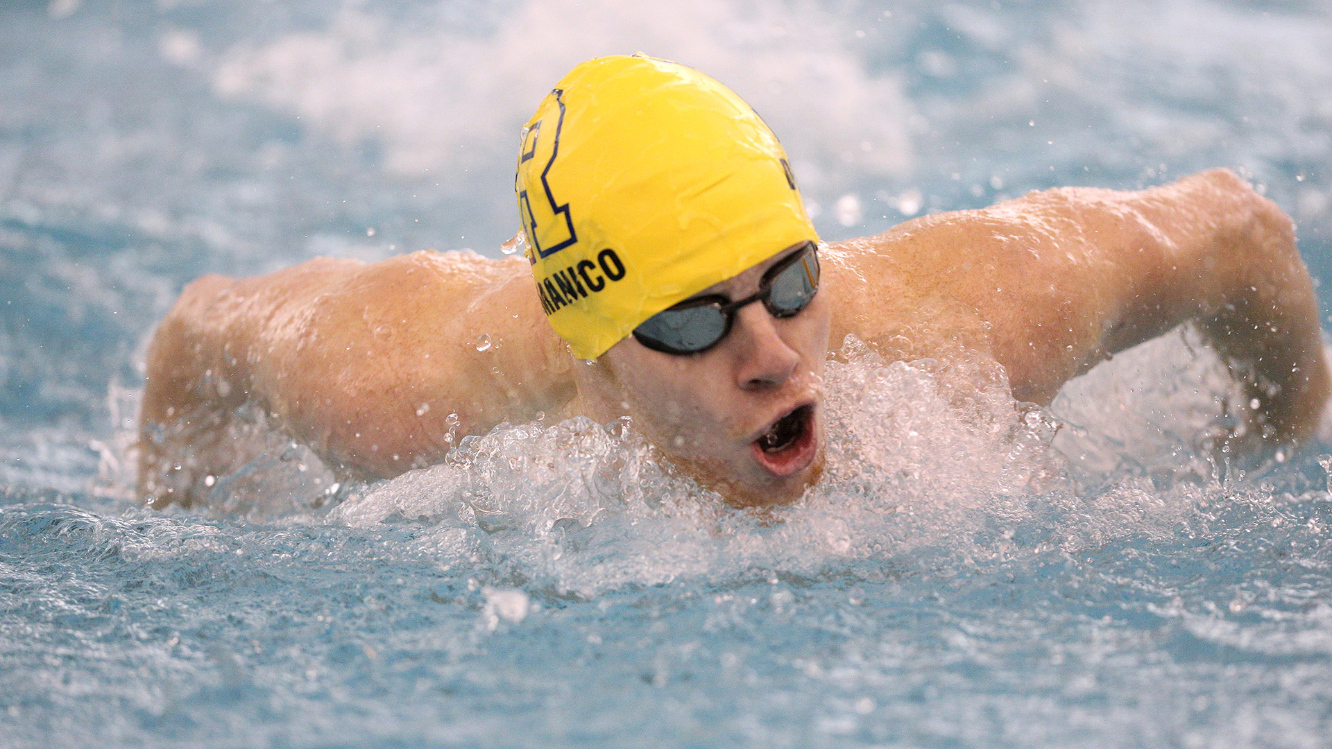 Edward Domanico - Men's Swimming and Diving - University of Rochester ...