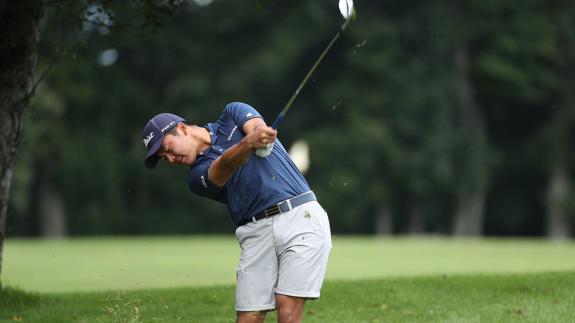 Justin Choi - Men's Golf - University of Rochester Athletics