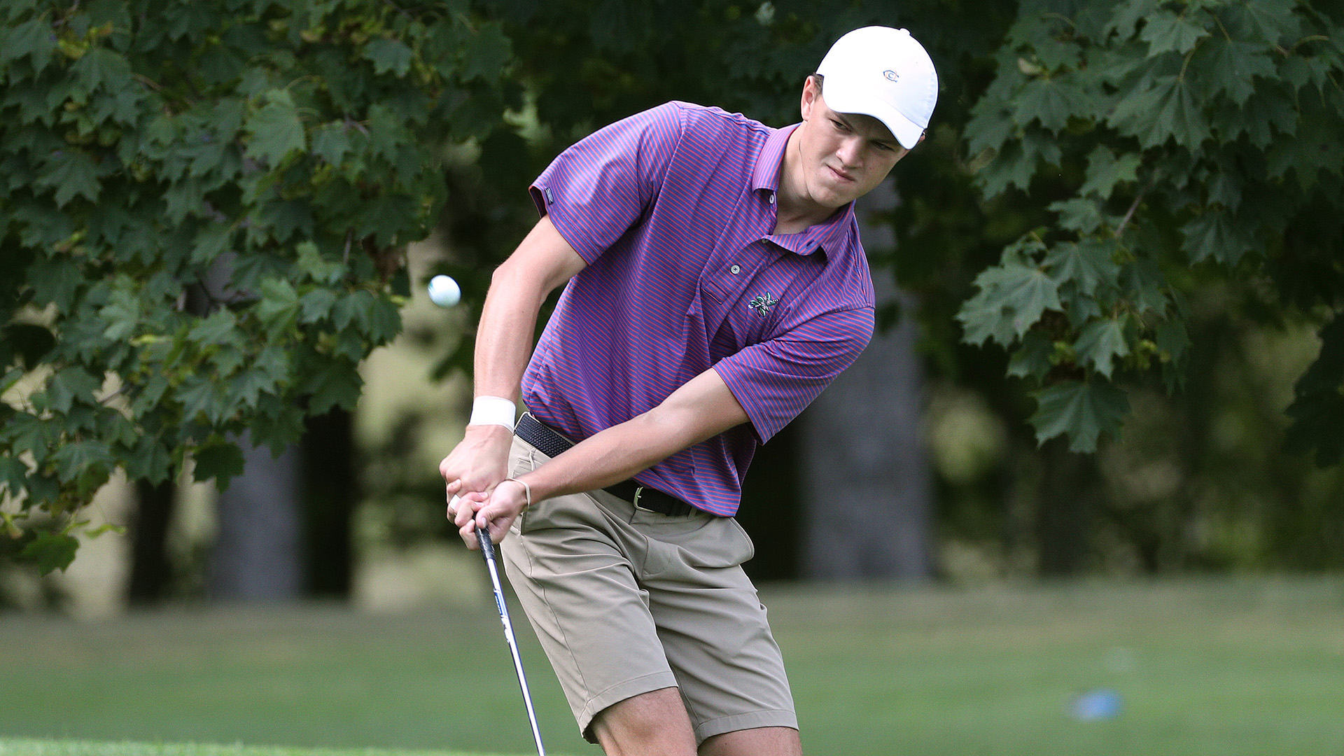 Declan Hickton - Men's Golf - University of Rochester Athletics