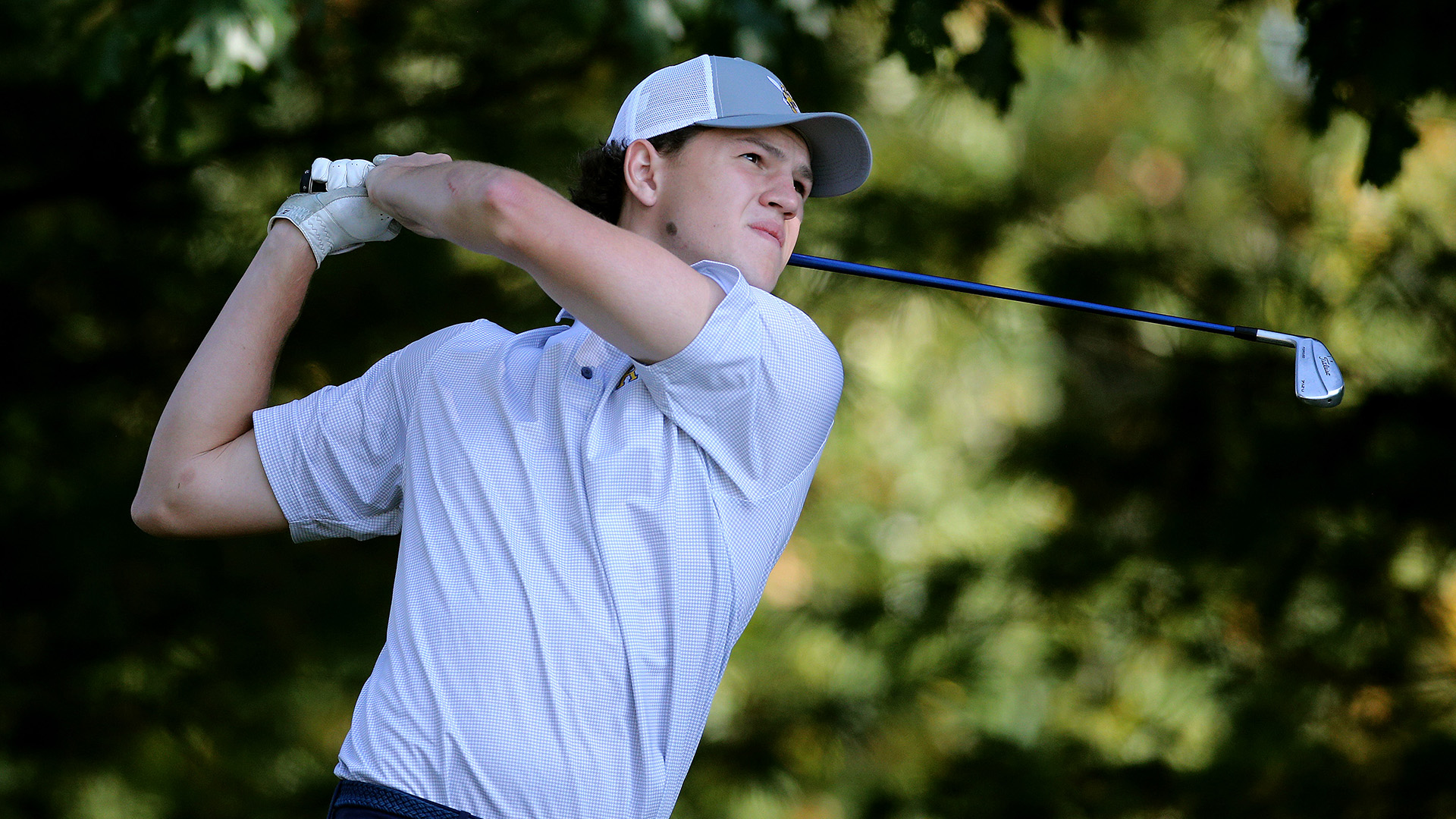 Declan Hickton - Men's Golf - University of Rochester Athletics