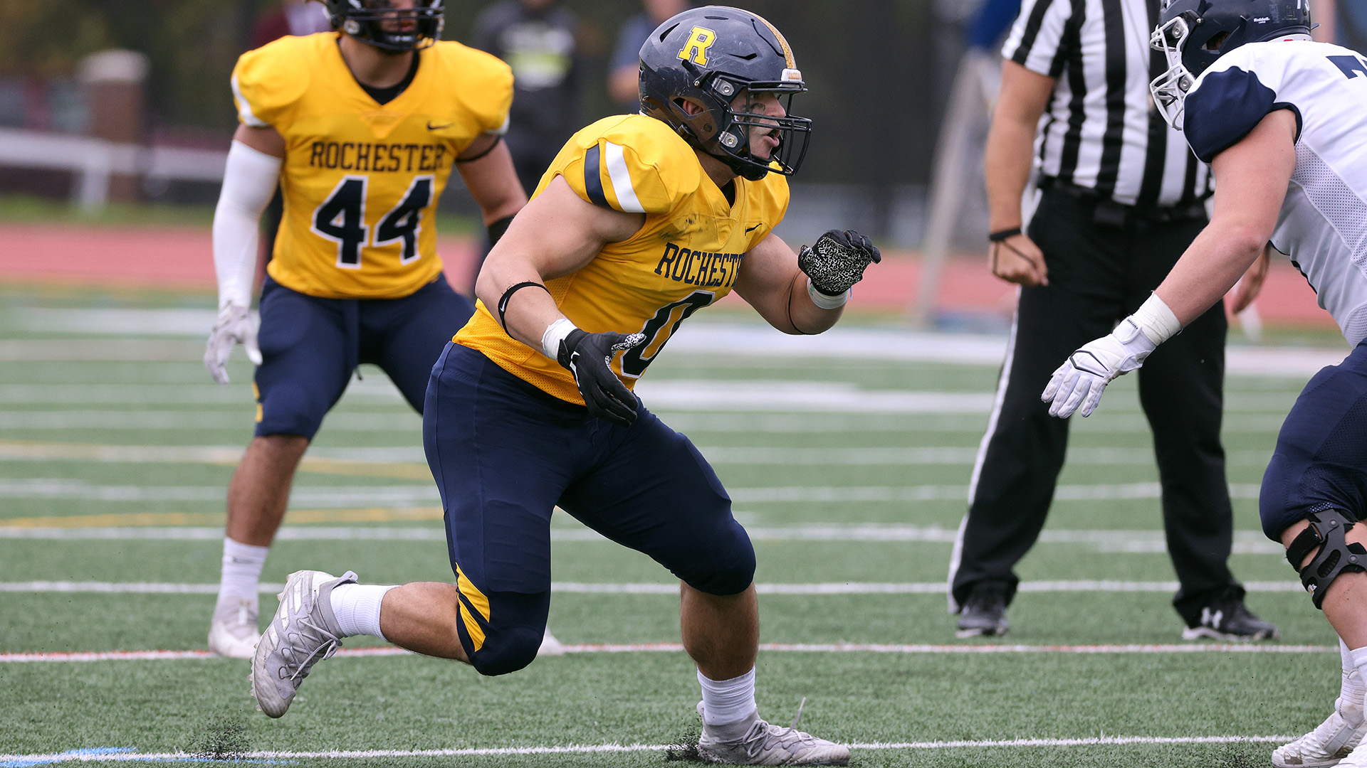 Nicholas Petruzziello - Football - University of Rochester Athletics