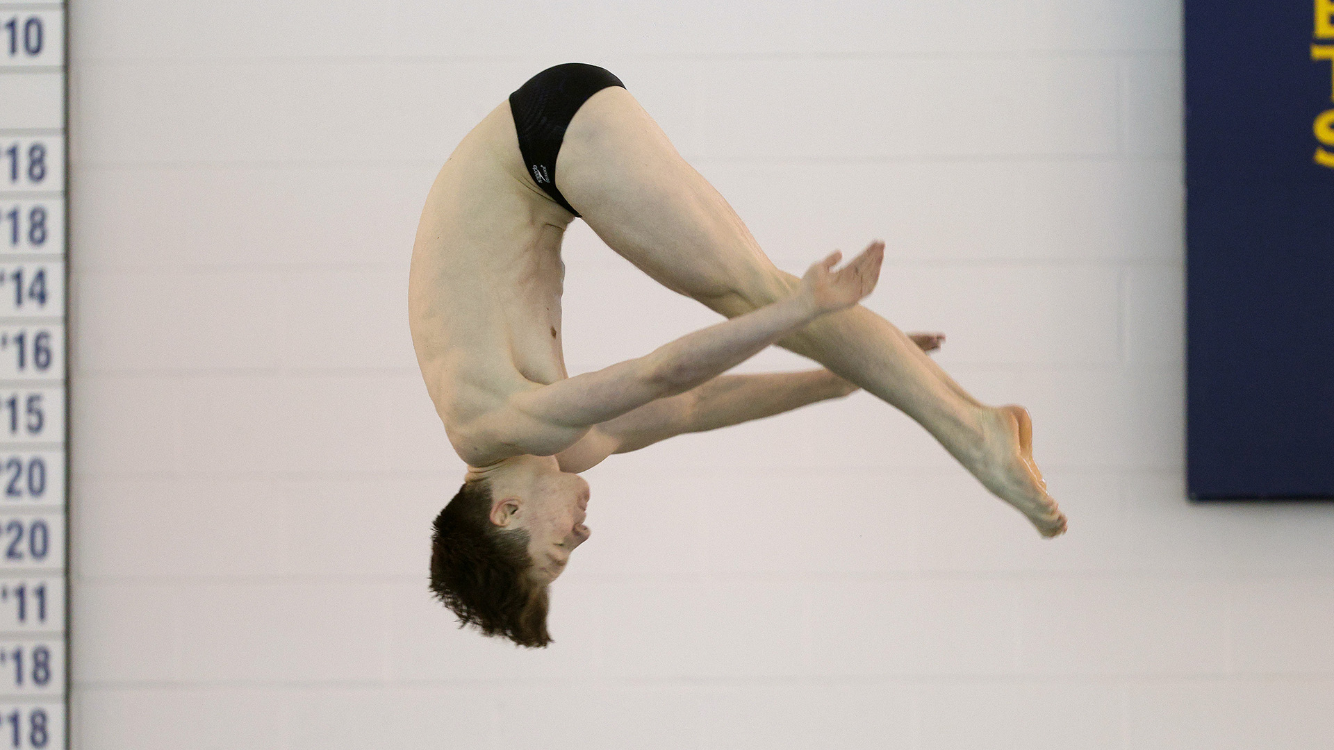 David Robinson - Men's Swimming and Diving - University of Rochester ...