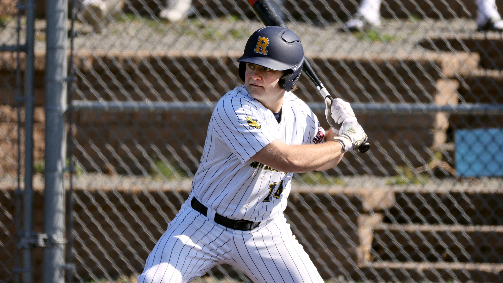 Steve Pickering - Baseball - University of Rochester Athletics