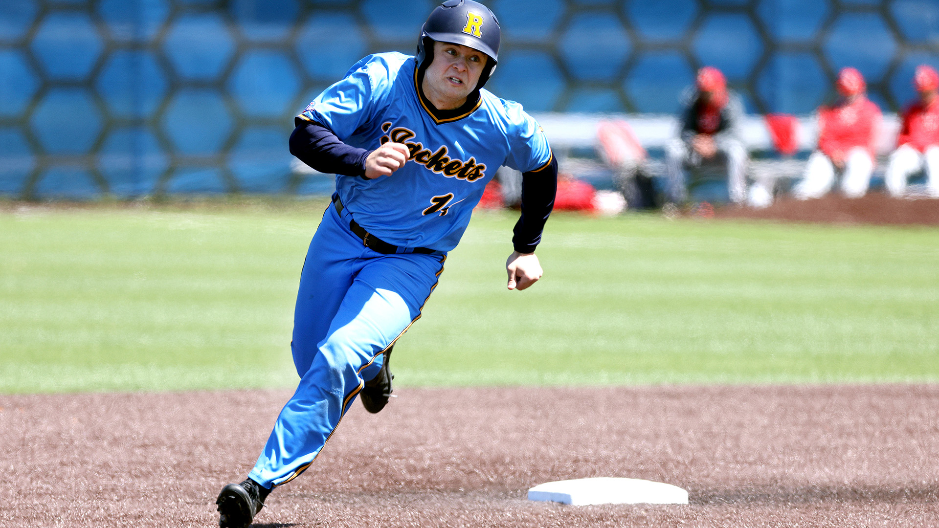 Steve Pickering - Baseball - University of Rochester Athletics