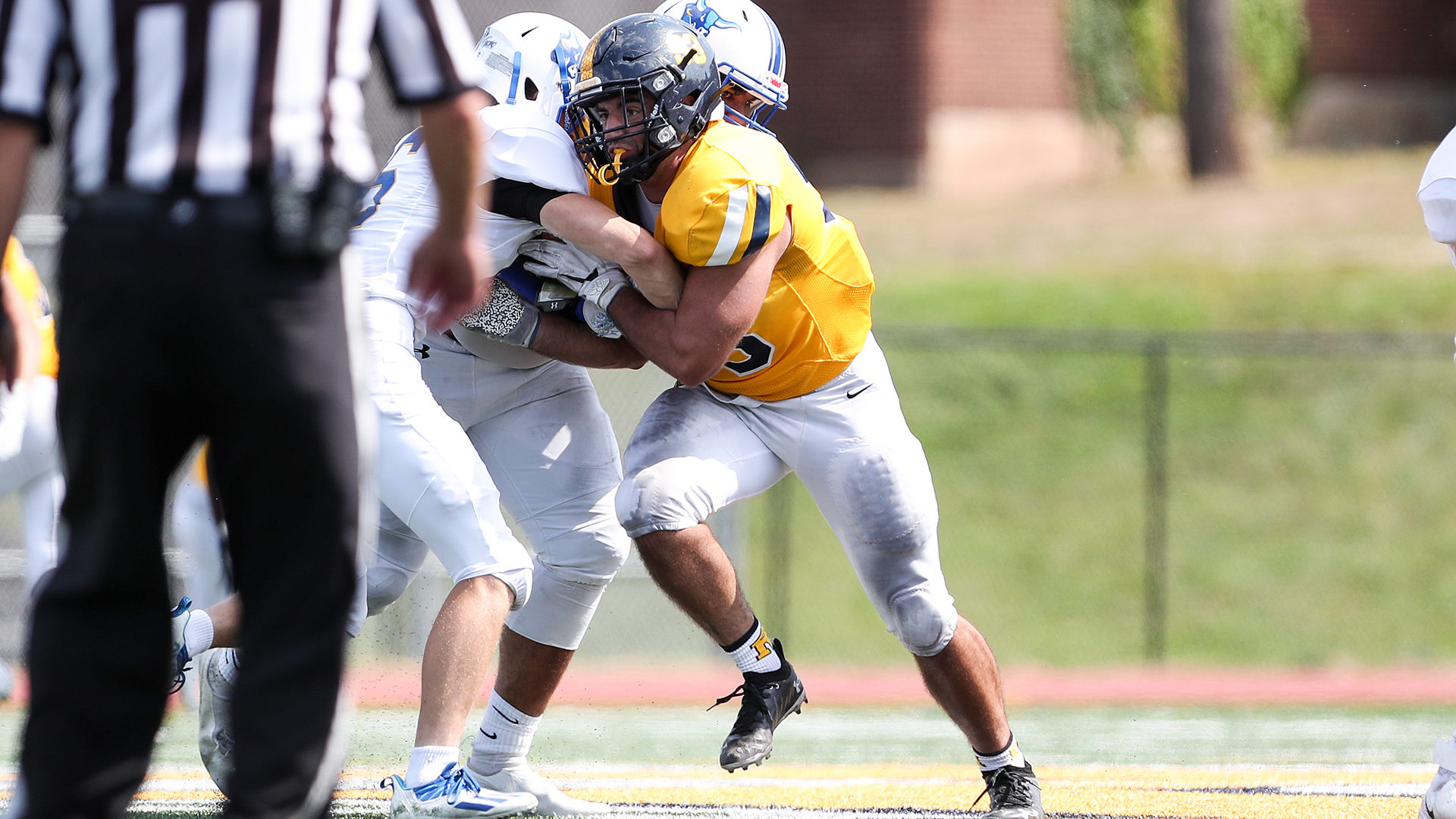 Jack Dippolito - Football - University of Rochester Athletics