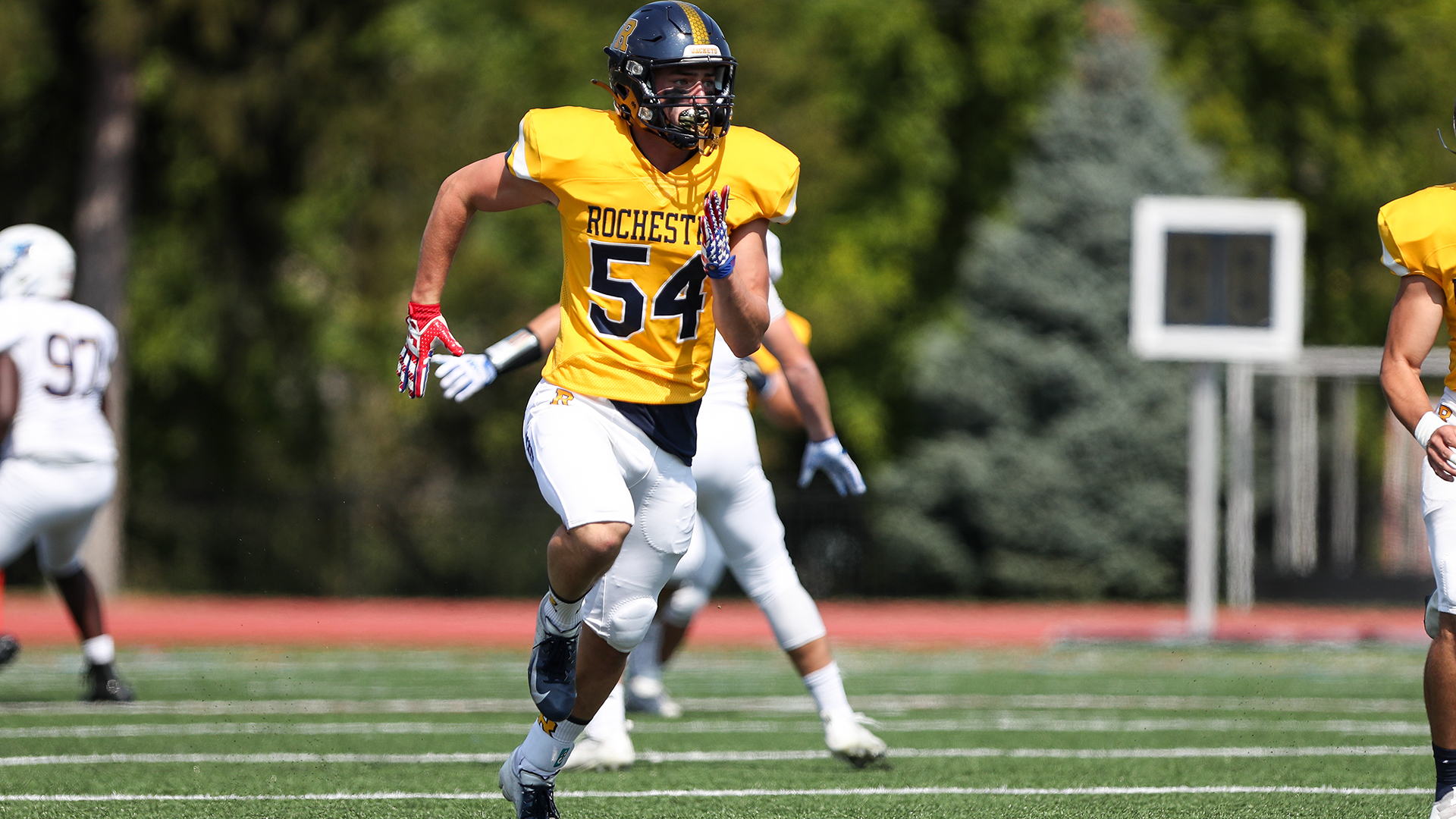 Cole McHugh - Football - University of Rochester Athletics