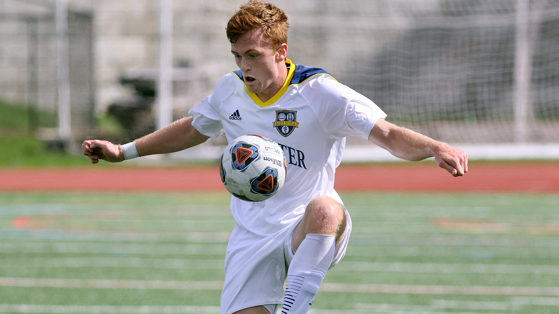 Tommy Nelson - Men's Soccer - University of Rochester Athletics