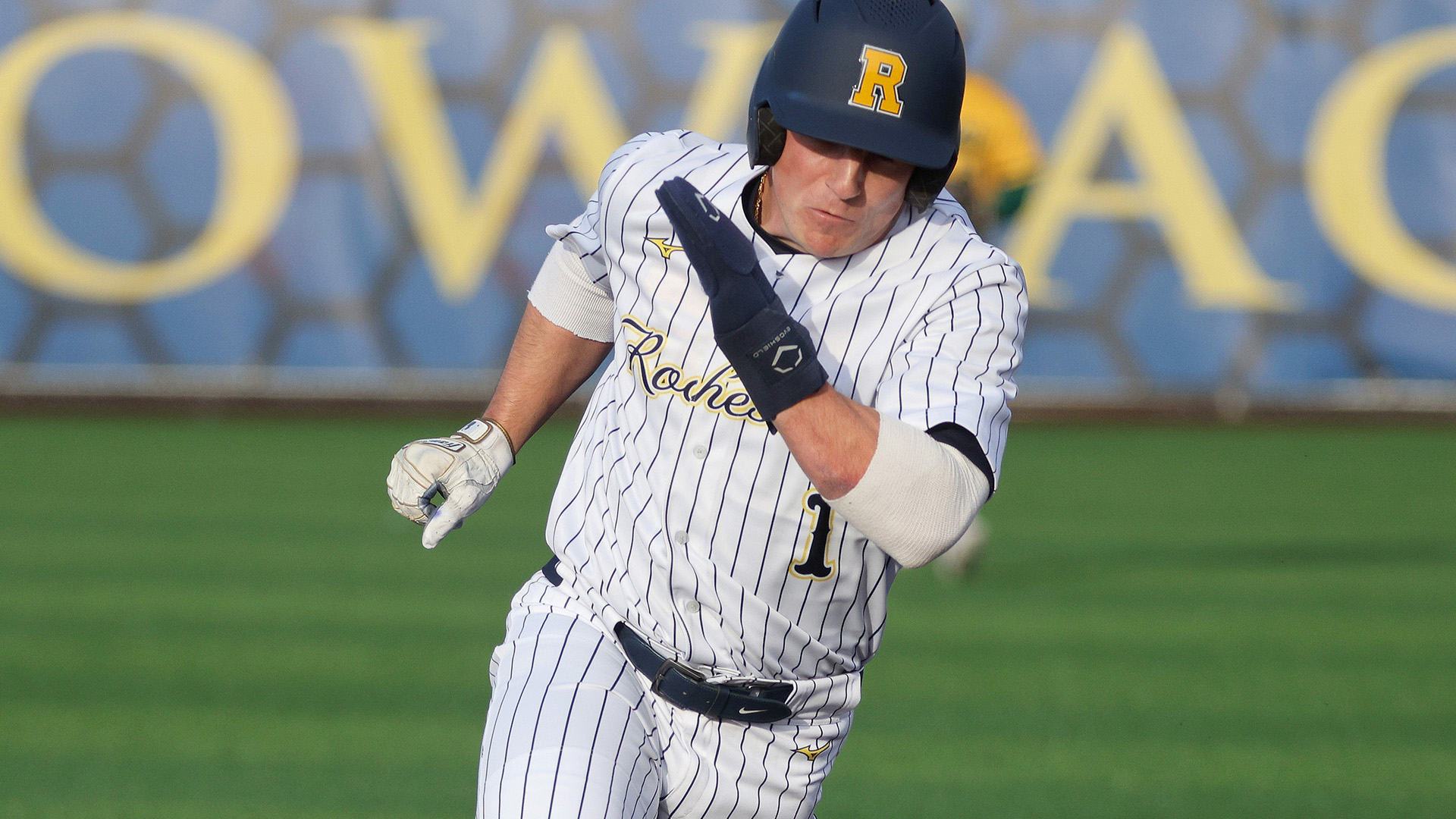 Matt Cappelletti - Baseball - University of Rochester Athletics