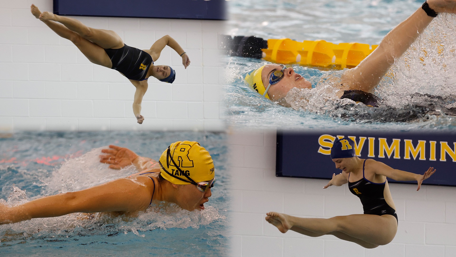 Swim & Dive Teams Earn Spring Scholar All-America Team Honors ...