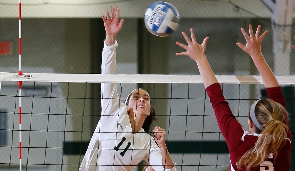 Lauren Rojek - Women's Volleyball - Slippery Rock University Athletics