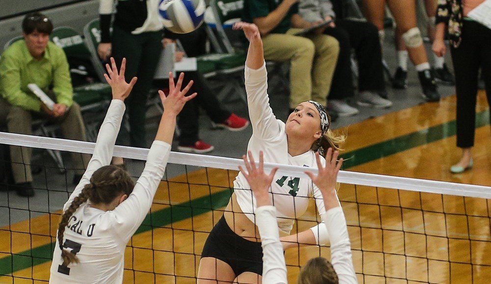 Jaden Zimmer - Women's Volleyball - Slippery Rock University Athletics