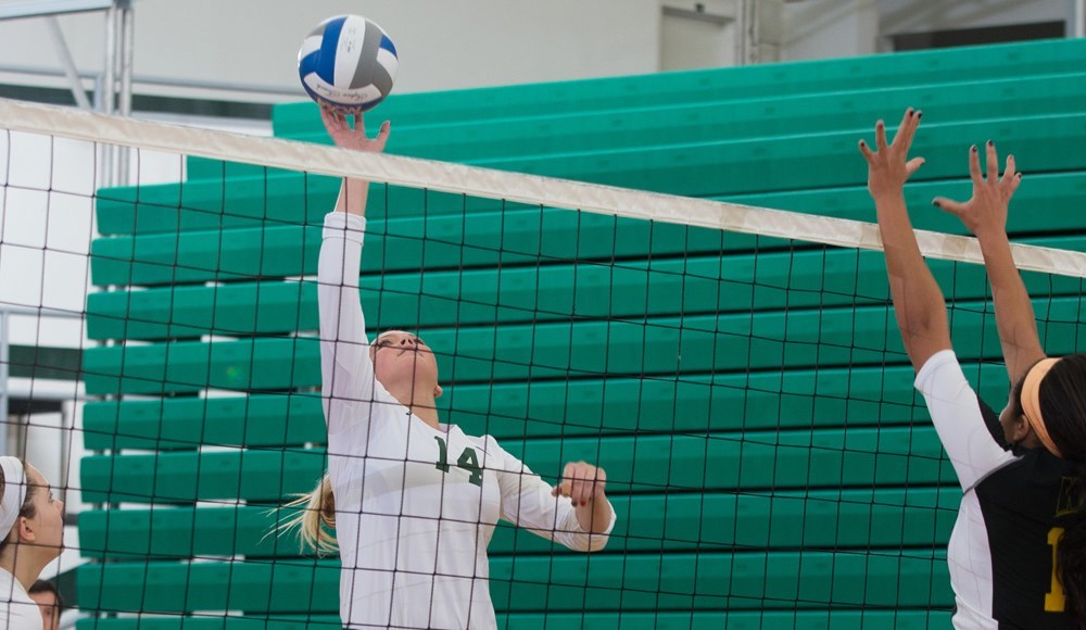Jaden Zimmer - Women's Volleyball - Slippery Rock University Athletics