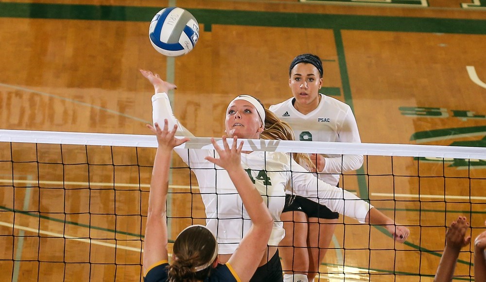 Jaden Zimmer - Women's Volleyball - Slippery Rock University Athletics