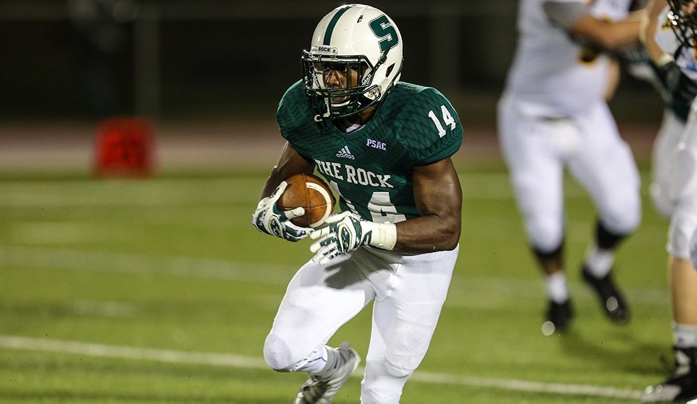 Dominic Dingle - Football - Slippery Rock University Athletics