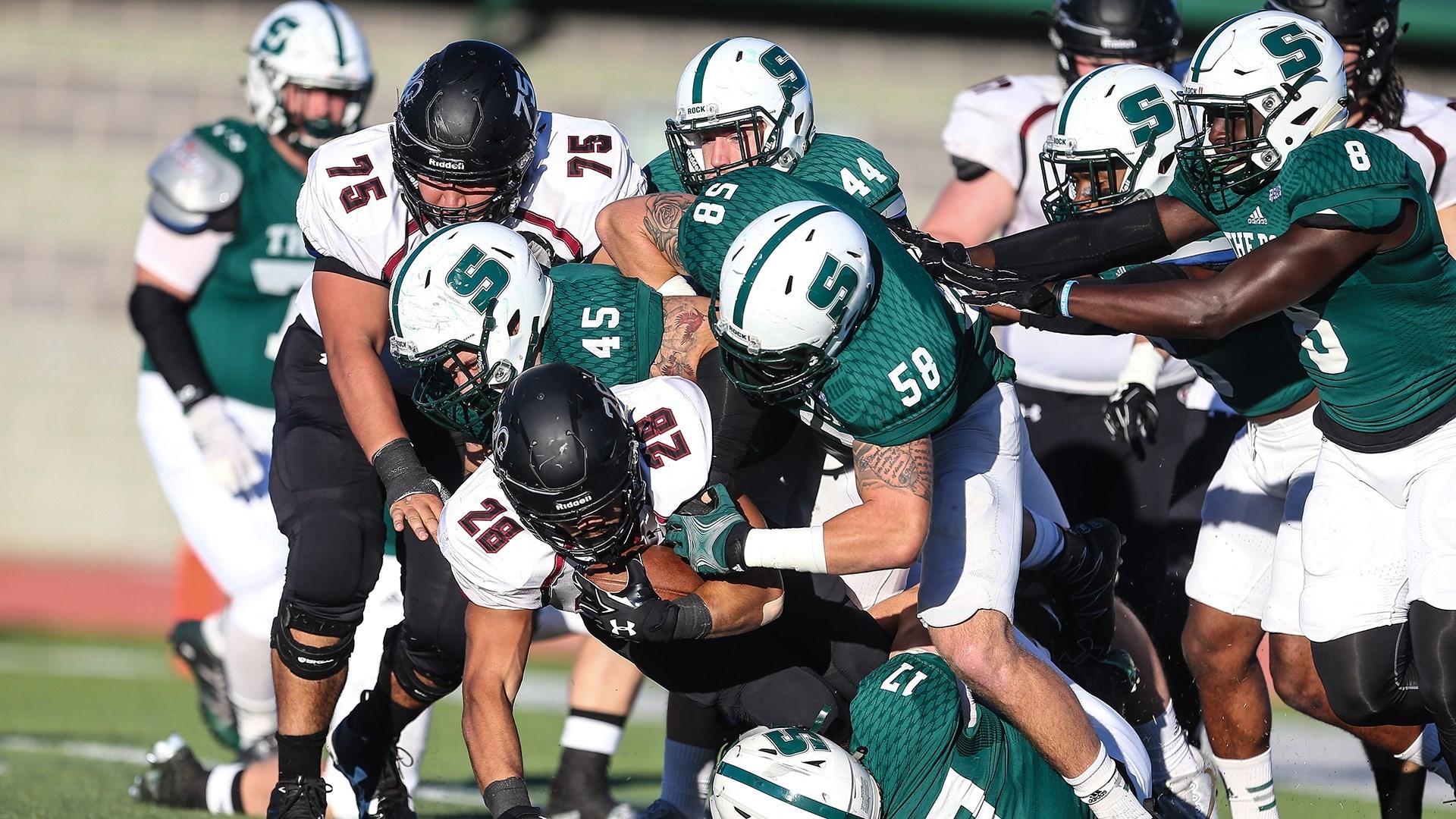 Anthony Zappone - Football - Slippery Rock University Athletics