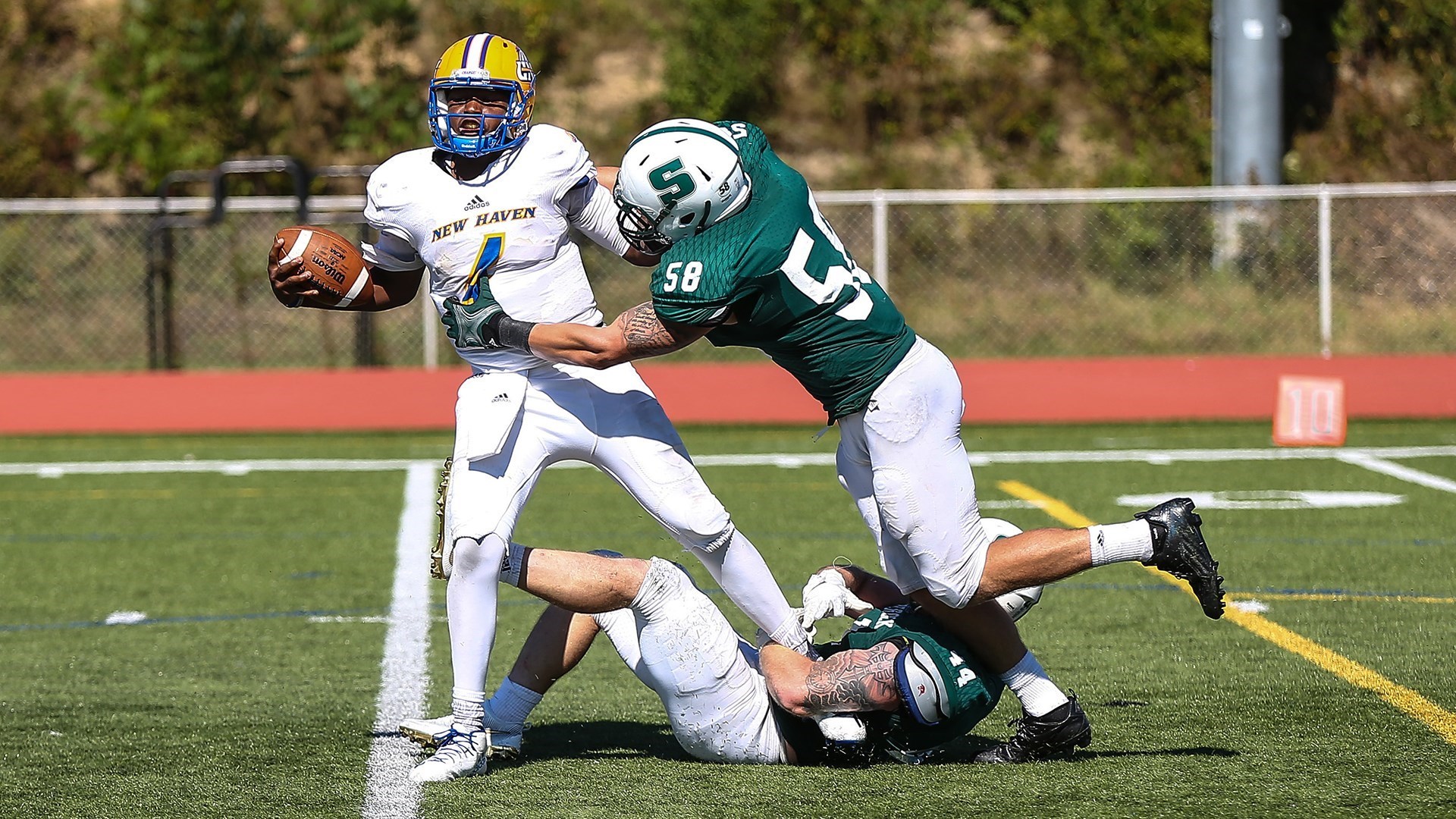 Anthony Zappone - Football - Slippery Rock University Athletics