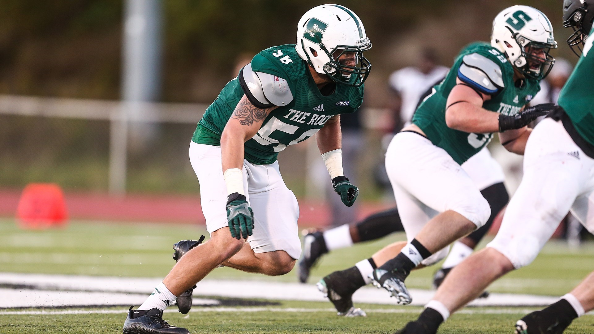 Anthony Zappone - Football - Slippery Rock University Athletics
