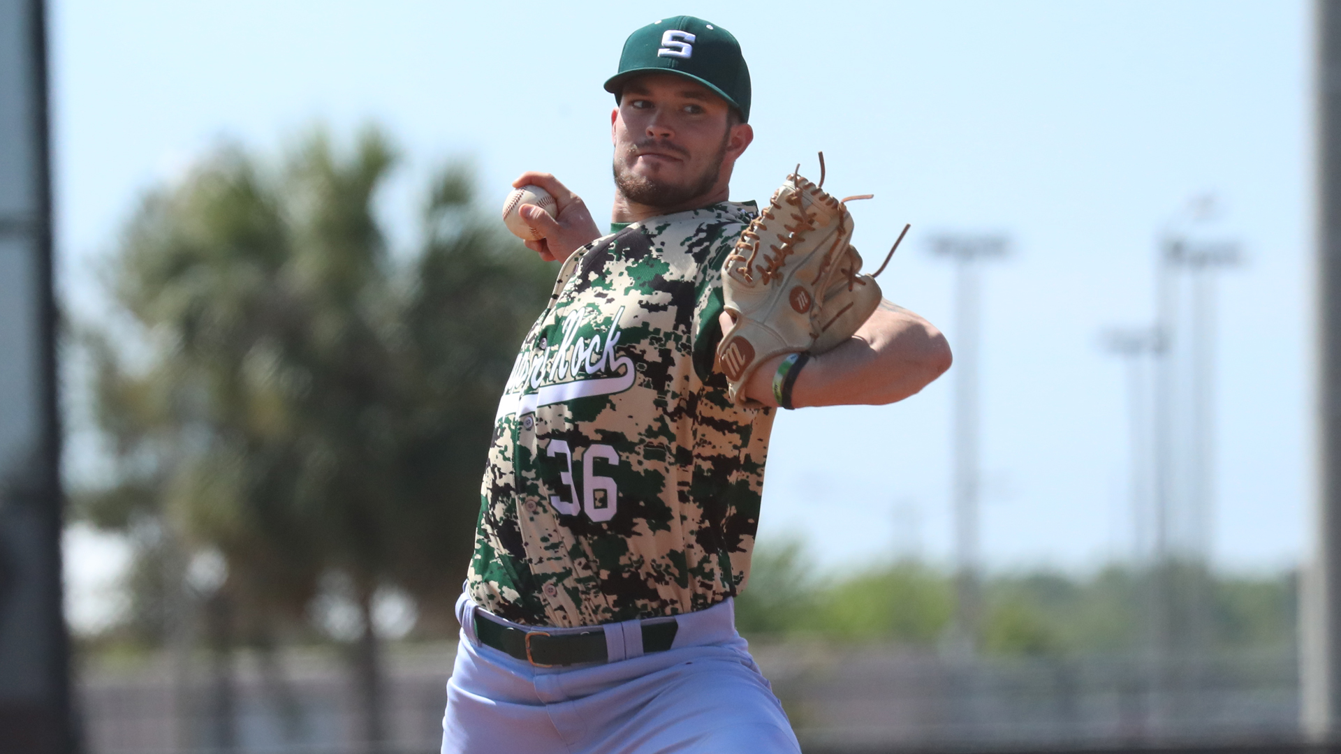 Shawn Holman - Baseball - Slippery Rock University Athletics
