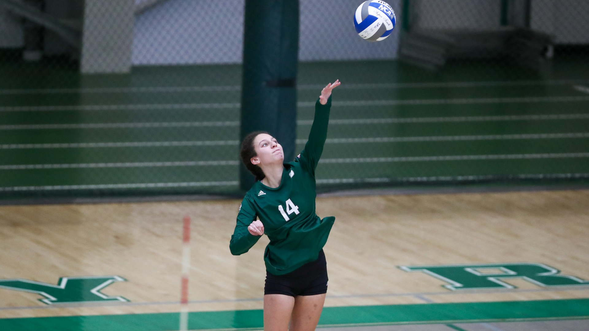 Cacey Cook - Women's Volleyball - Slippery Rock University Athletics