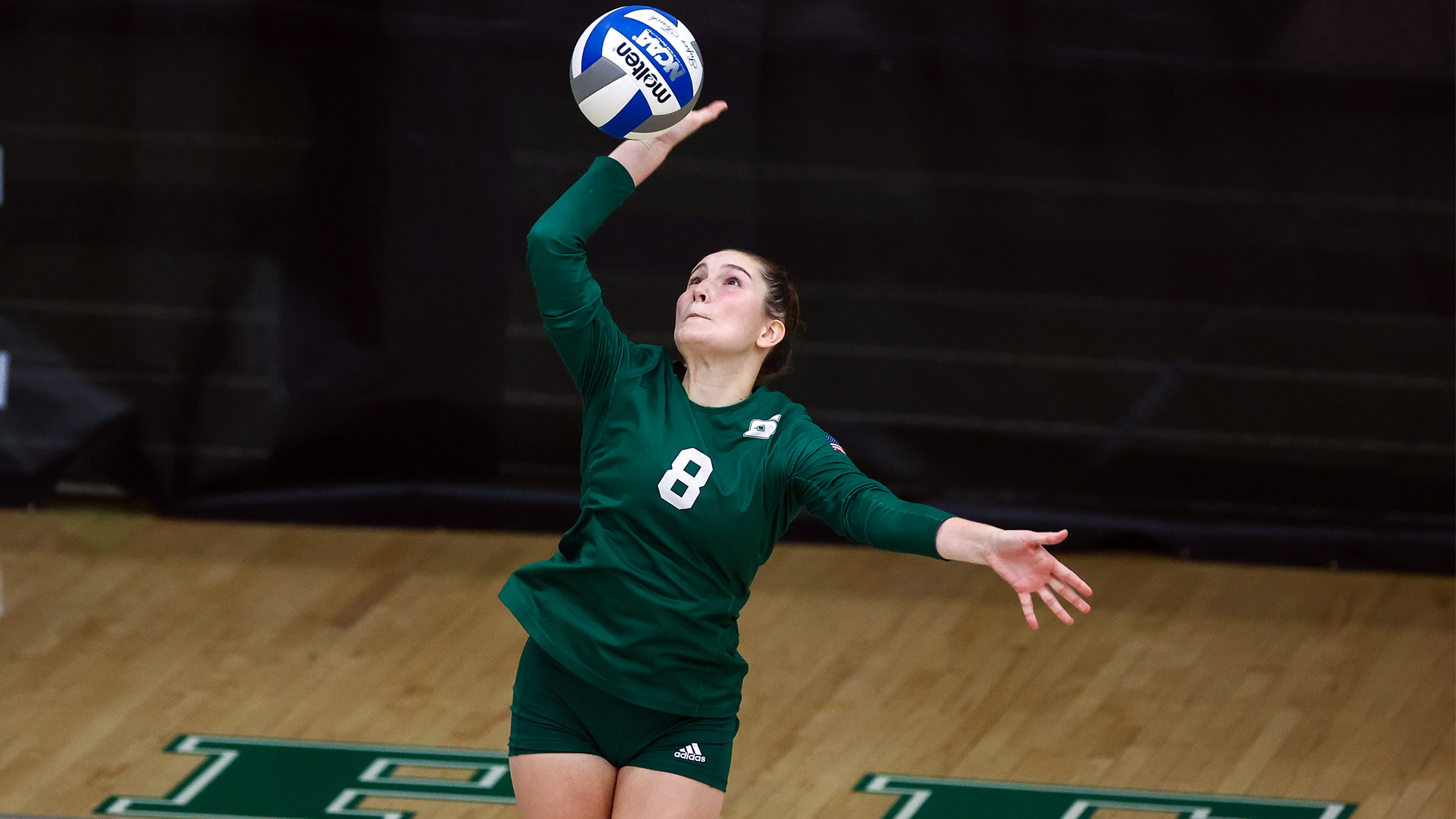 Rock drops three-set decision at Seton Hill - Slippery Rock University ...