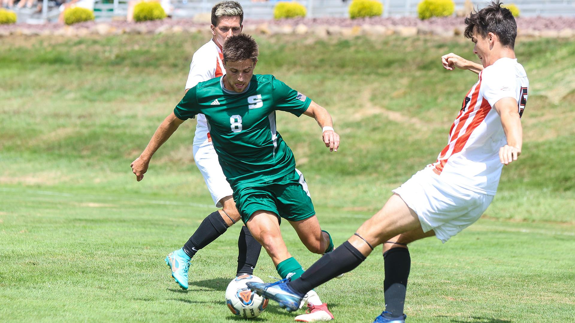 Alex Plimmer - Men's Soccer - Slippery Rock University Athletics