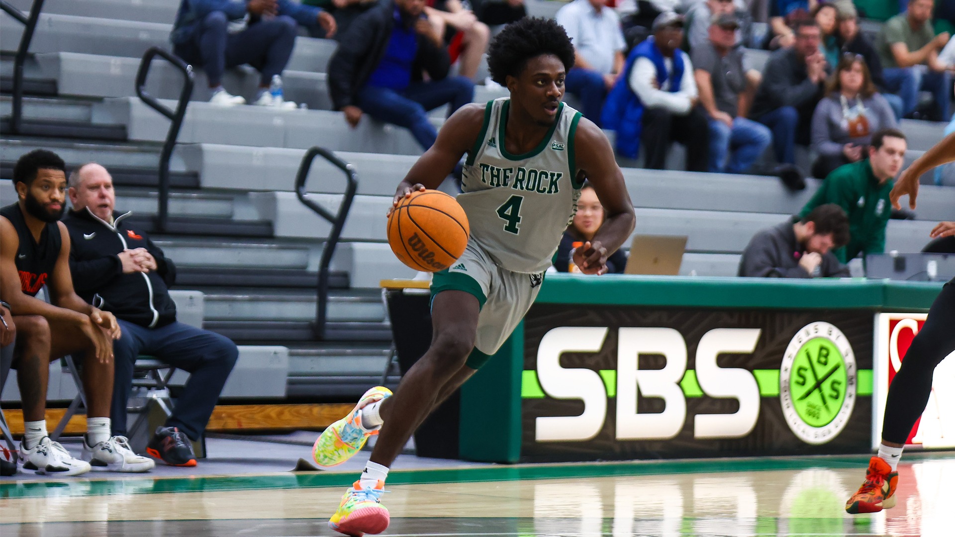 Rock drops road tilt at Daemen, 86-62 - Slippery Rock University Athletics