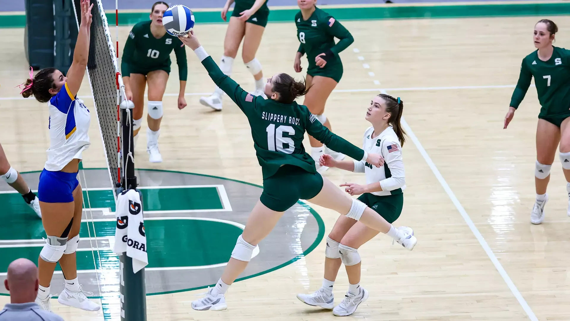 Slippery Rock names Dylan Lasher head volleyball coach - Slippery Rock ...