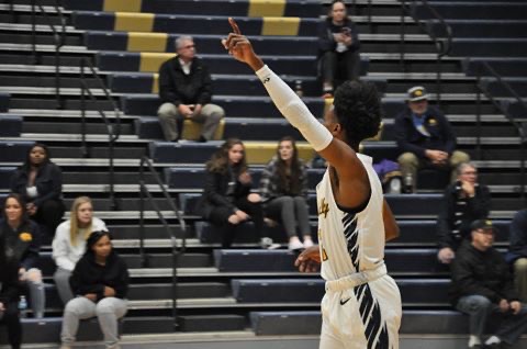 Justin Robinson - 2019-20 - Men's Basketball - Rock Valley College ...