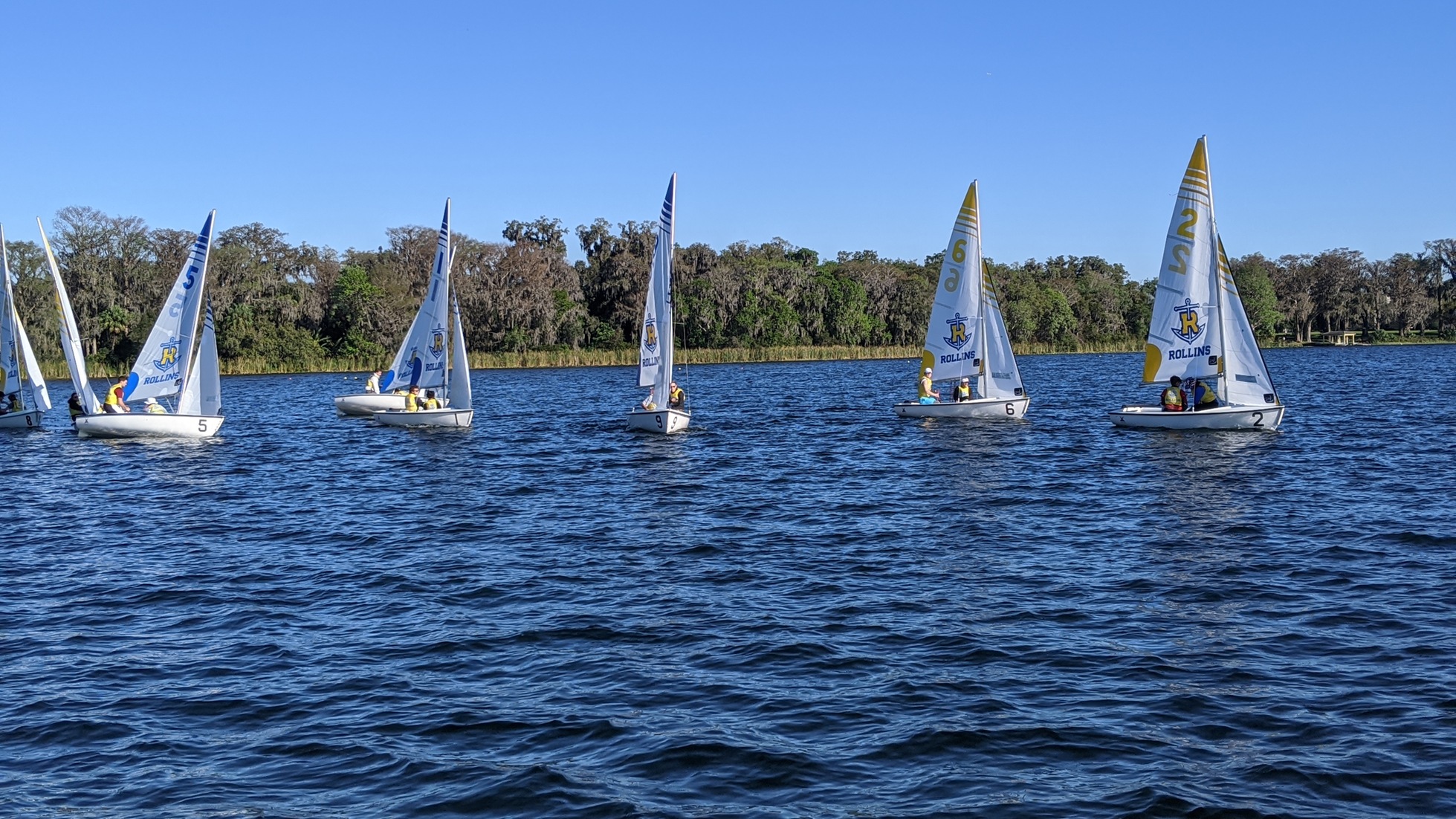 Tars Earn Second Place Finish in Points Regatta - Rollins College