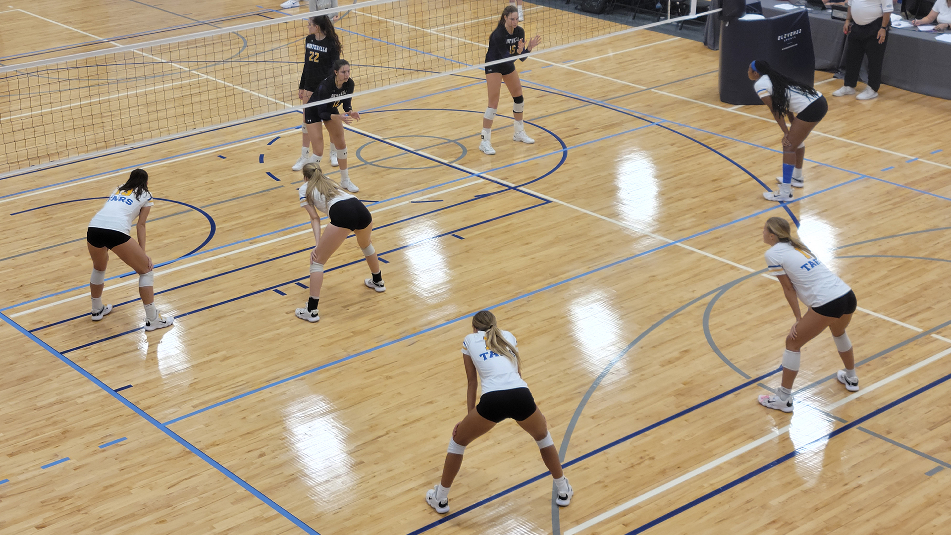 Falcons Fly Past Tars on First Day of Crossover - Rollins College