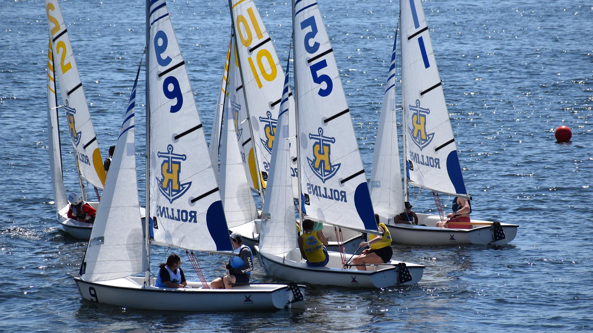 Sailing Opens Season on Lake Virginia - Rollins College