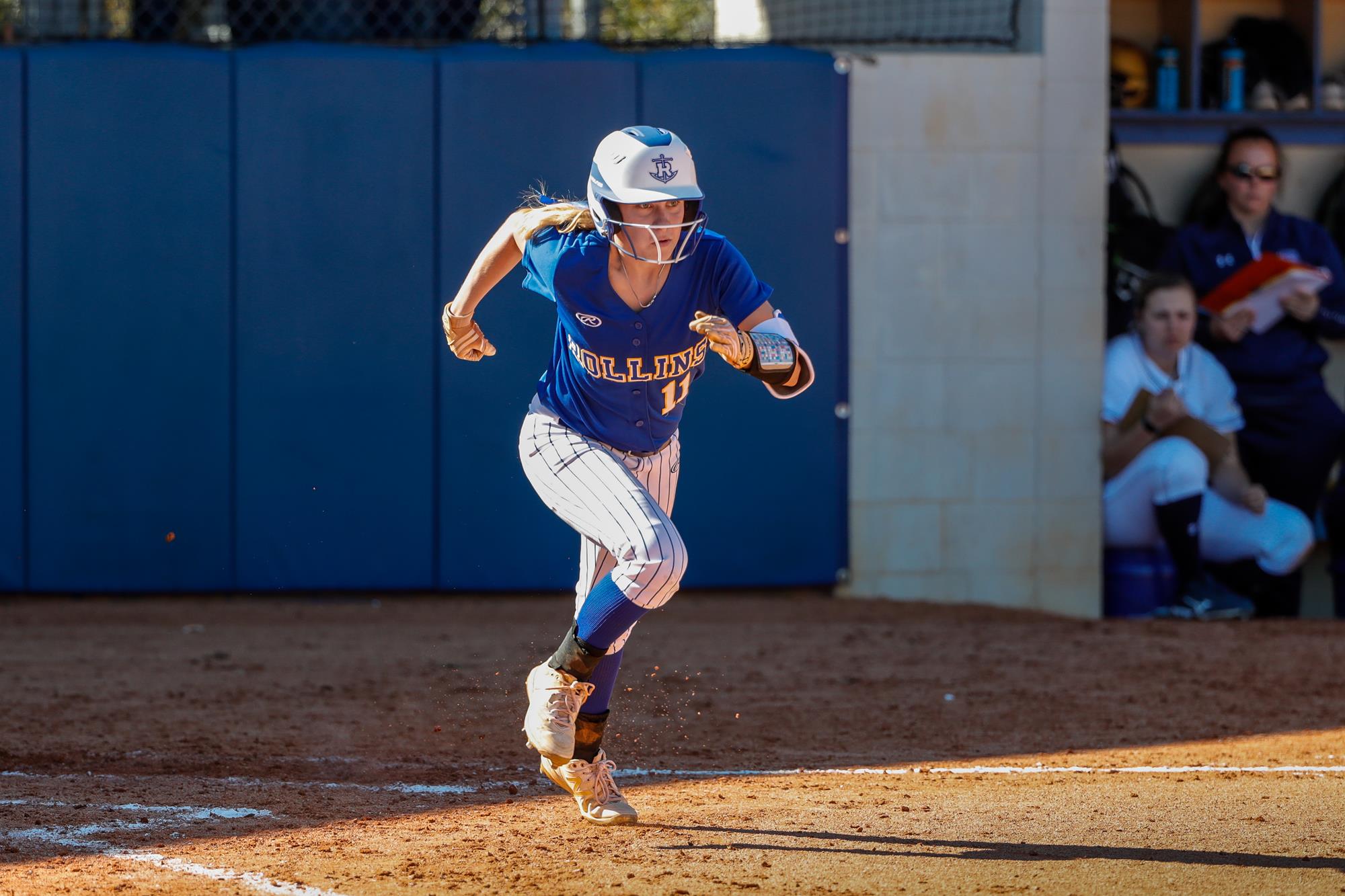 Tars Battle It Out With Lions - Rollins College