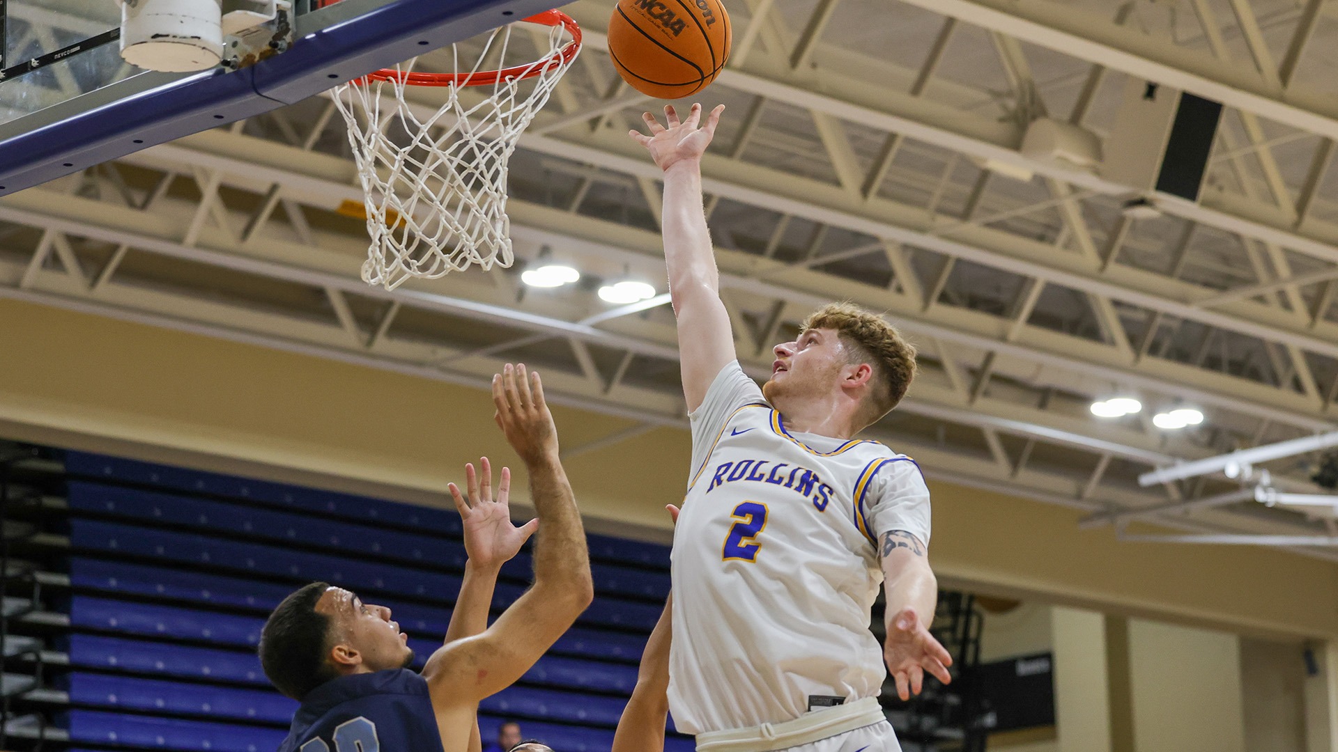 Cody Potter - 2023-24 - Men's Basketball - Rollins College