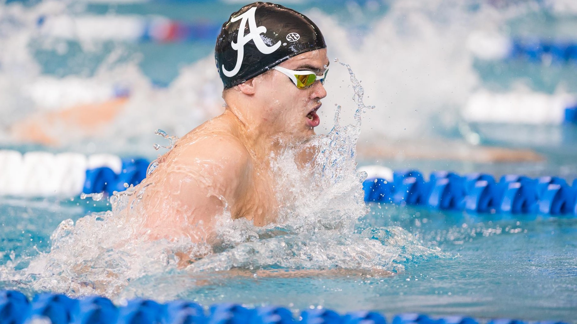 Anton McKee - Swimming & Diving - University of Alabama Athletics