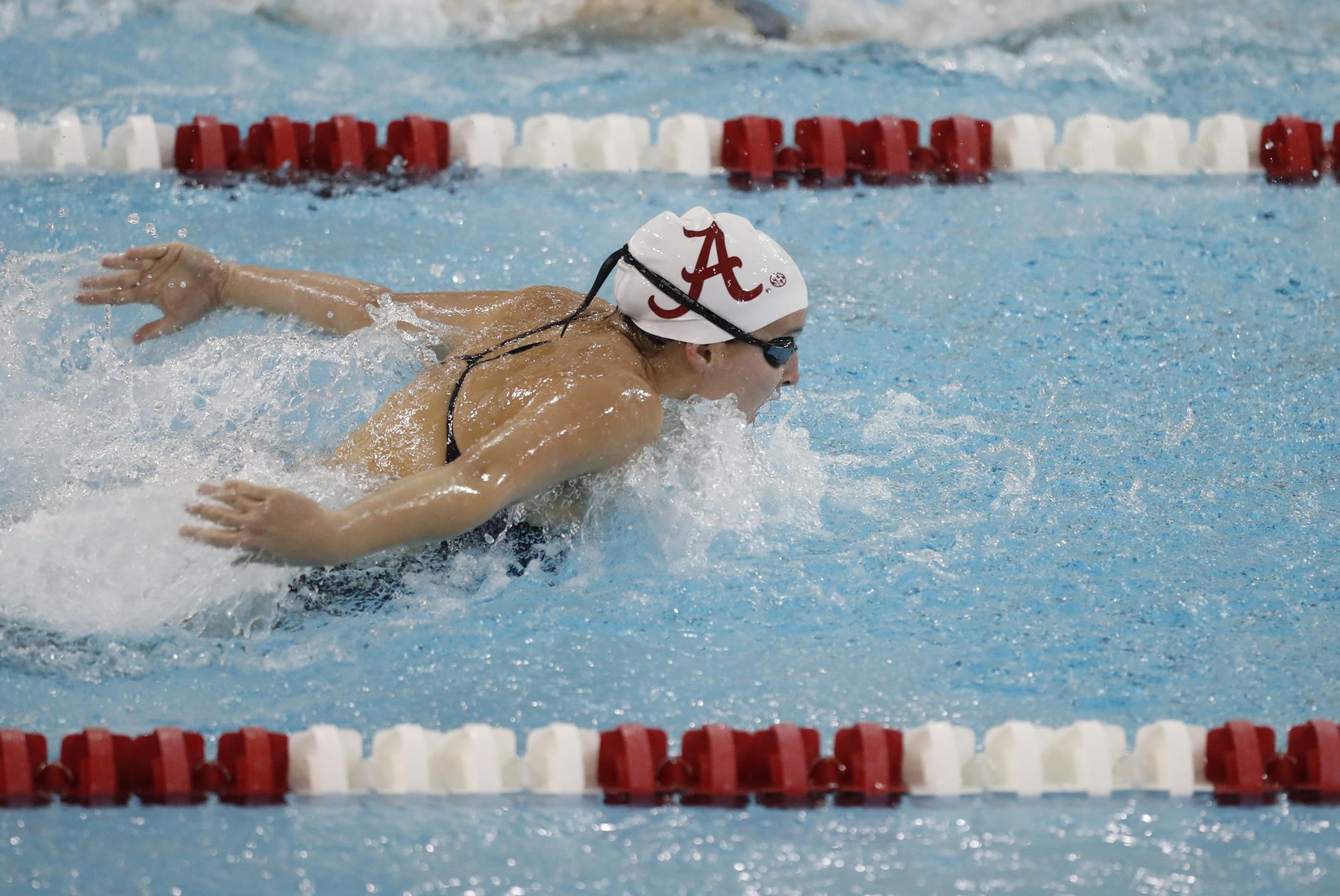 Maria Reed - Swimming & Diving - University of Alabama Athletics
