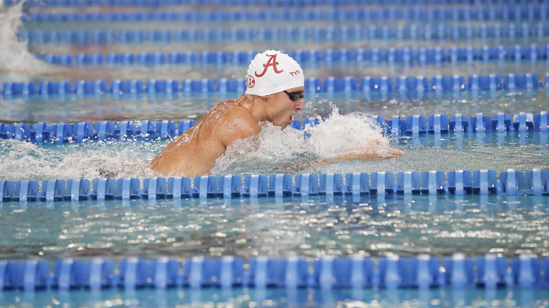 Liam Bell - Swimming & Diving - University of Alabama Athletics