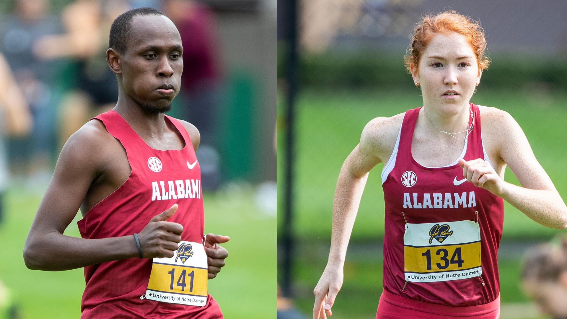 Allison Wilson - Track & Field, Cross Country - University of Alabama ...
